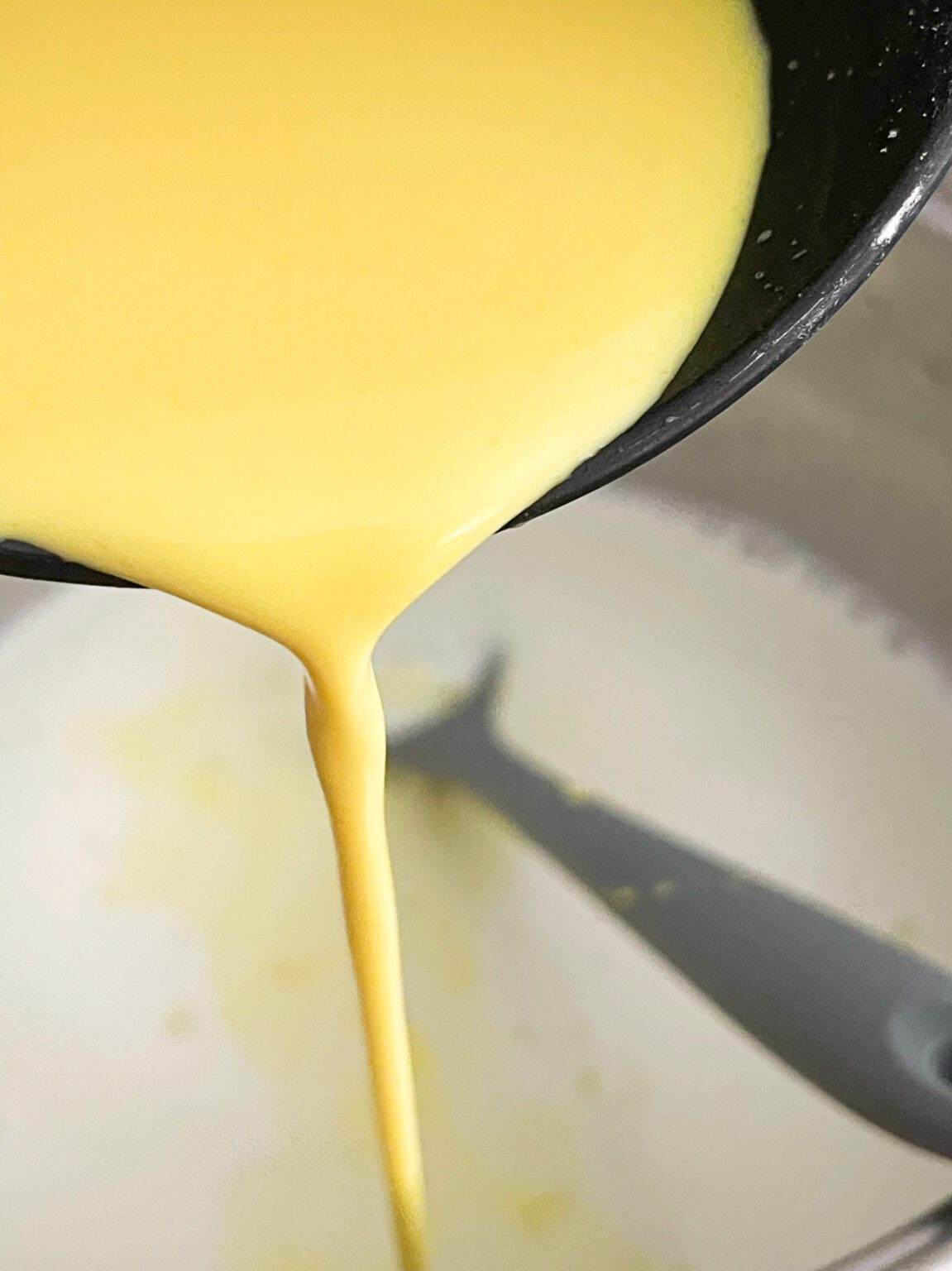 Fruit Custard